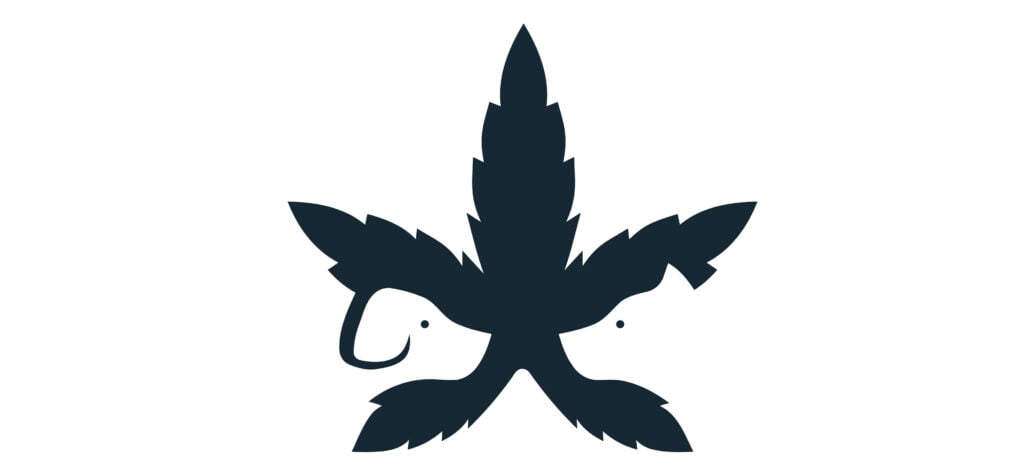 Chemdawg Cannabis Strain Review Chemdawg Cannabis Strain Review